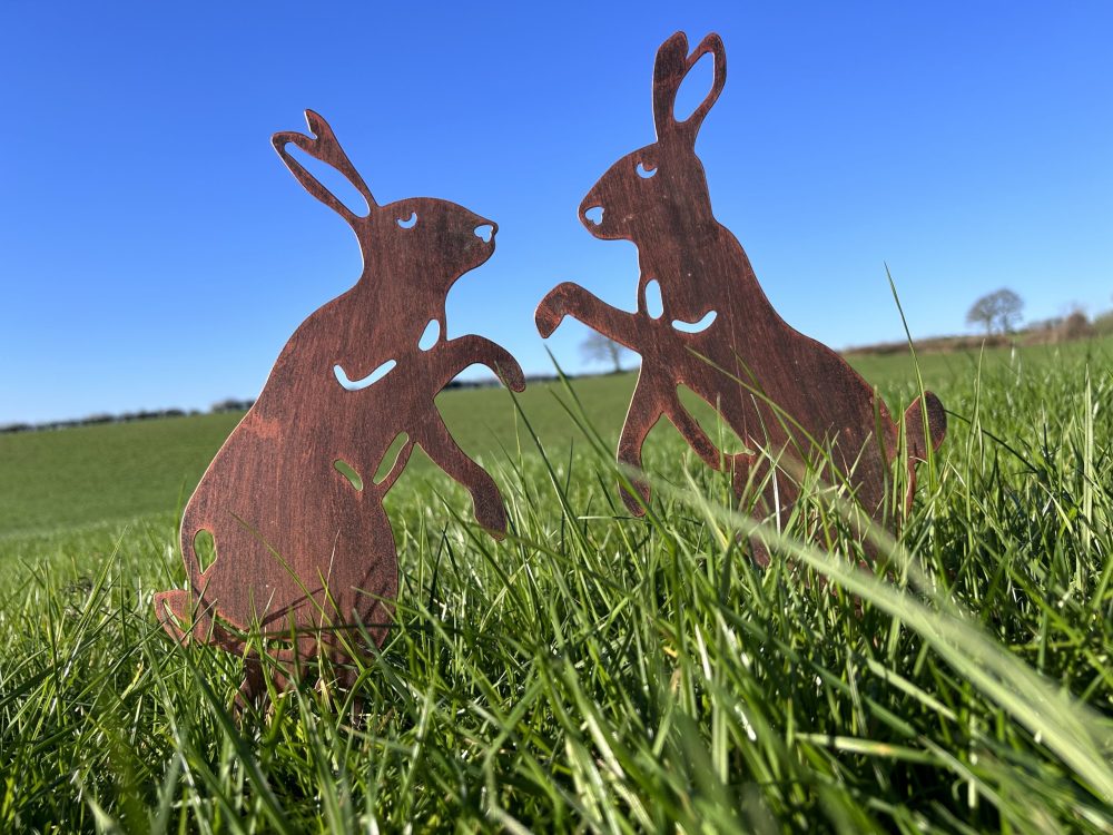 Boxing/ dancing Hares – Eastern Connections