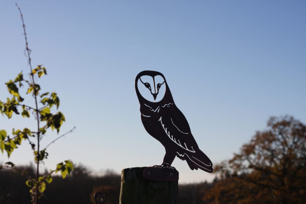 Barn Owl Fence Topper – Eastern Connections