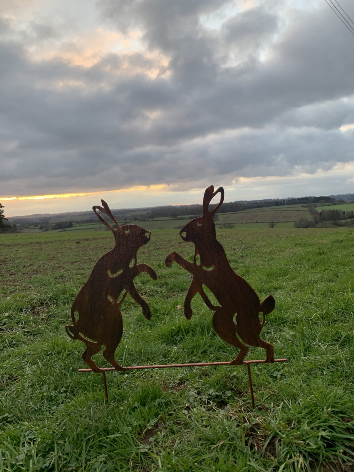 Boxing/ dancing Hares – Eastern Connections