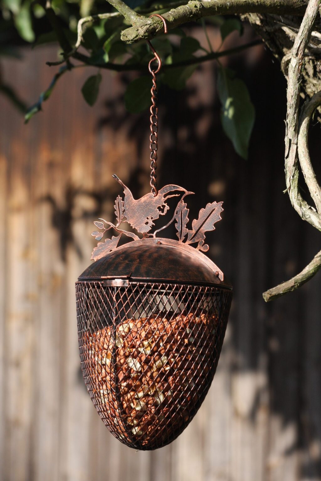Acorn Wren Bird Feeder – Eastern Connections