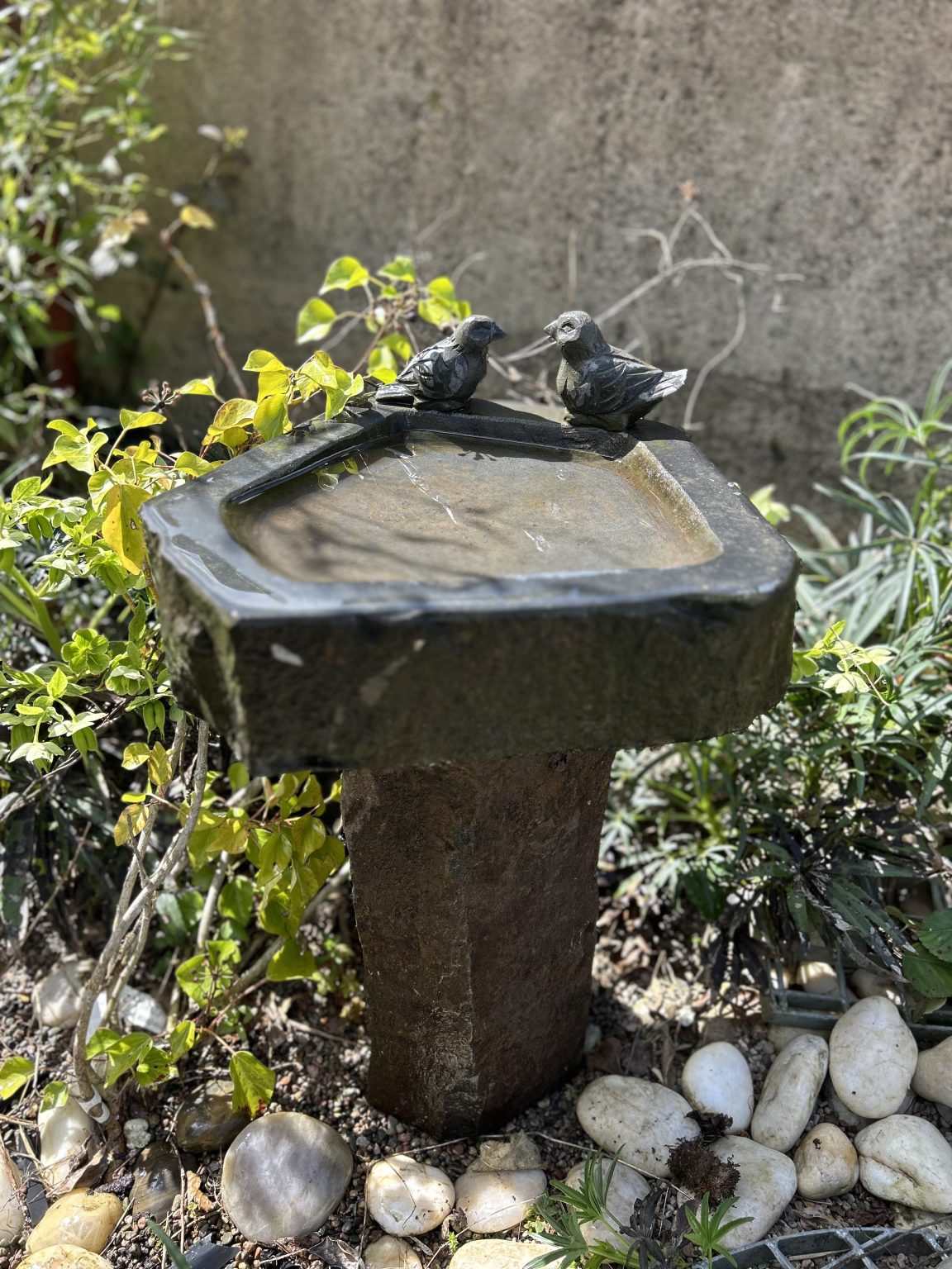 Basalt Birdbath with two birds, 59cm H with birds, New for 2025 ...